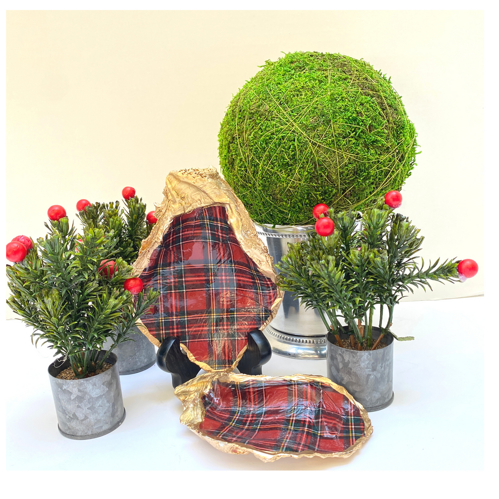 Royal Stewart Red Scottish Tartan Plaid Oyster Shell Art Dish – Classic ...