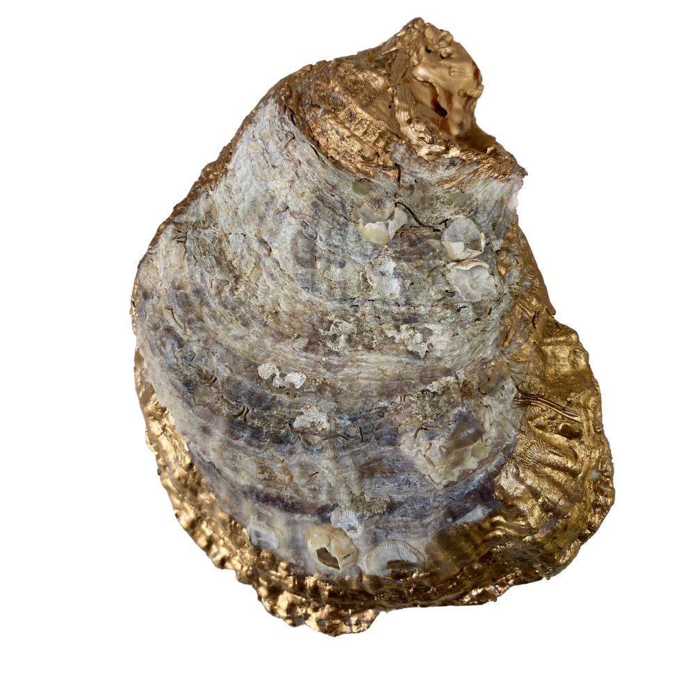 Custom, Personalized, Oyster Shell Art, Logo Design, Minimum order 60 ...