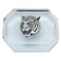 Tiger Paperweight | Gift for Tiger Football Fan | Desktop Accessory ...